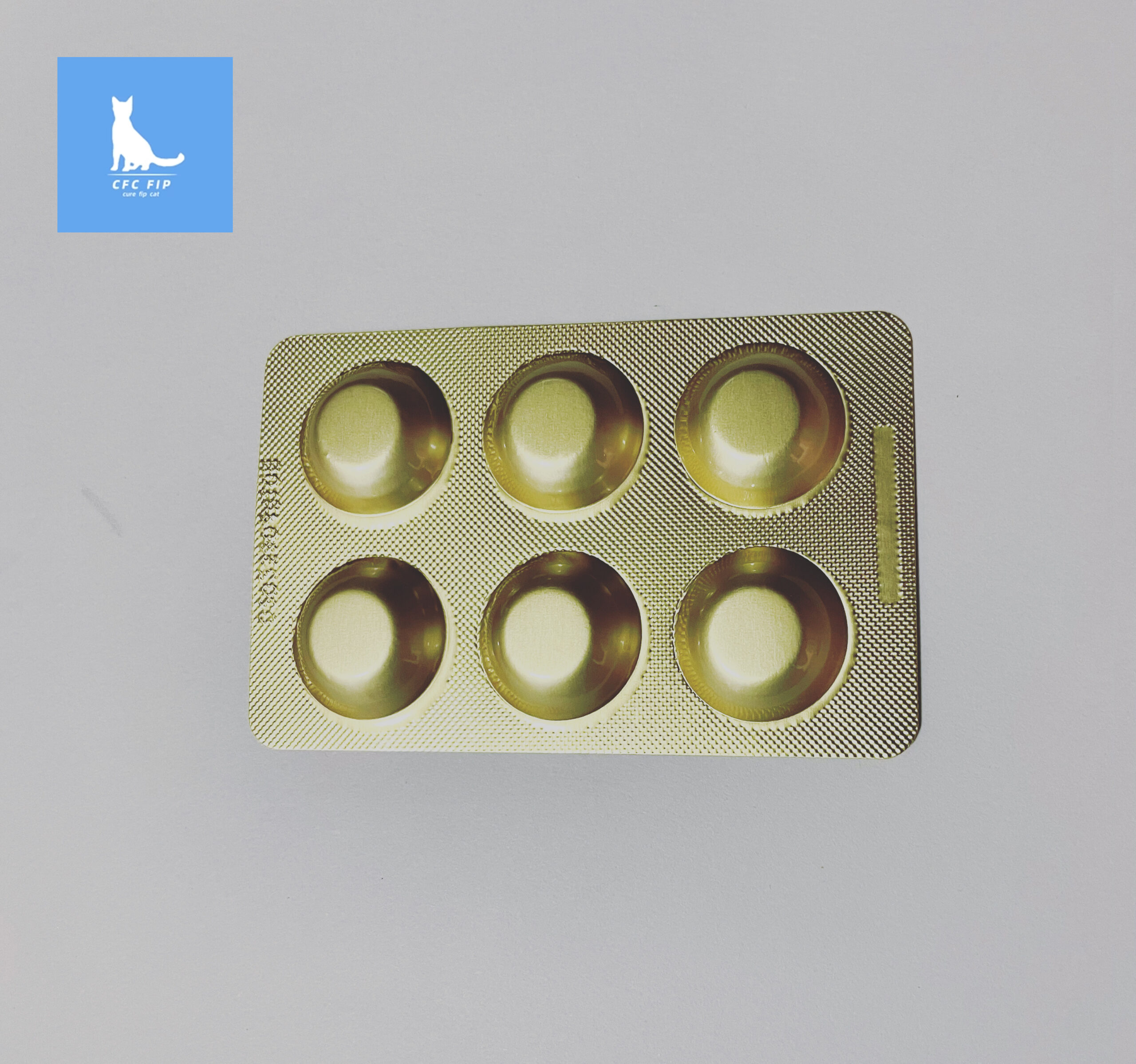 ORAL CAPSULES 【For Cats 4kg】【6 tablets】 - Cure FIP Cat